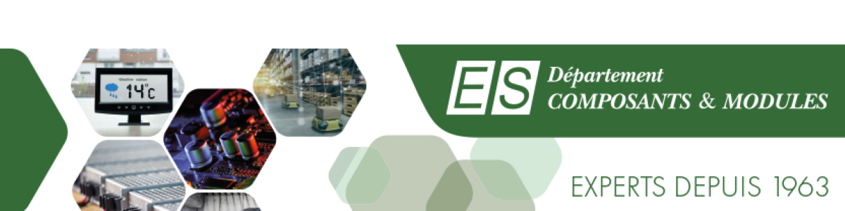 3 questions à ES France, département Composants & Modules - SIDO LYON